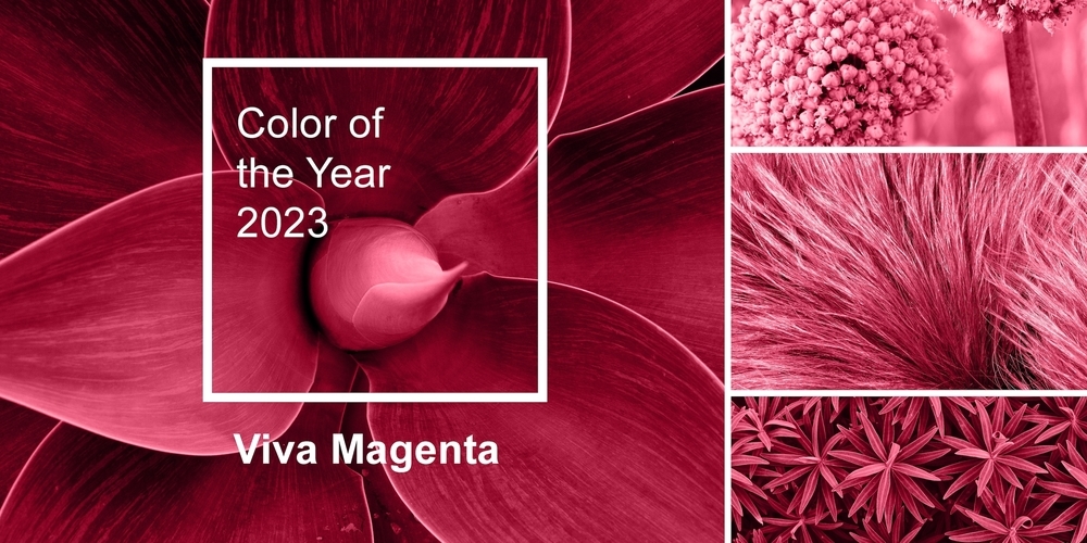 Farbe des Jahres Viva Magenta 2023 - Sahak Fine Swiss Jewellery